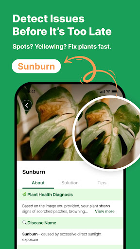 Plant Identifier - Scan & Care for Android - Free APK Download & App ...